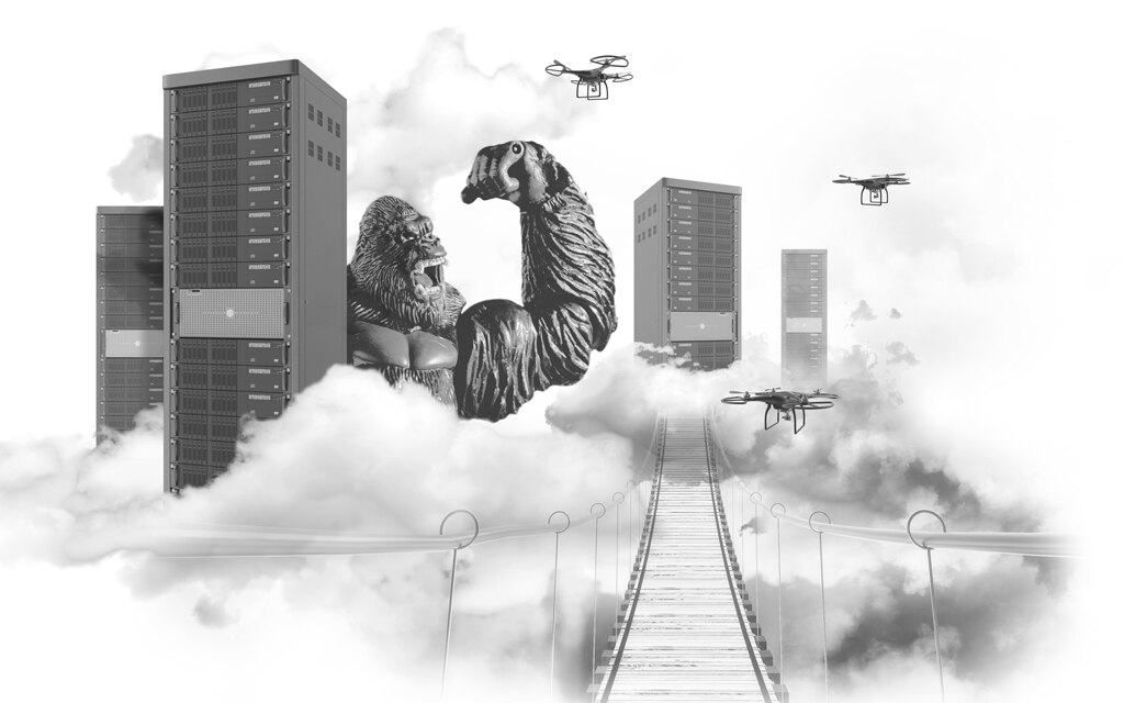 Global System Integrators | SolarWinds